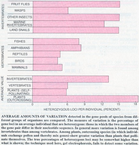 The Evolution of Darwinism